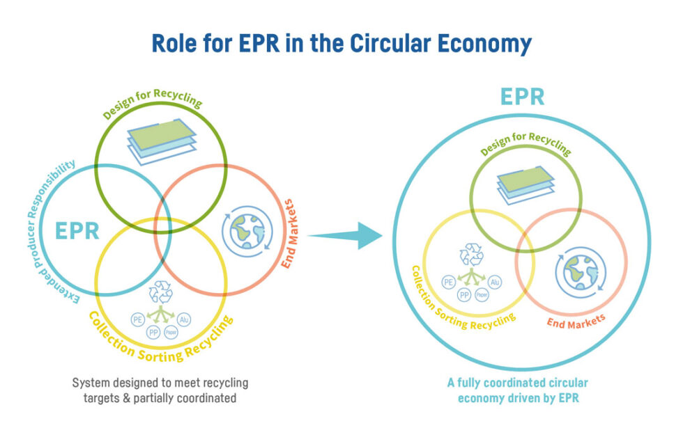 CEFLEX launches EPR ‘Criteria for Circularity’ in flexible packaging ...